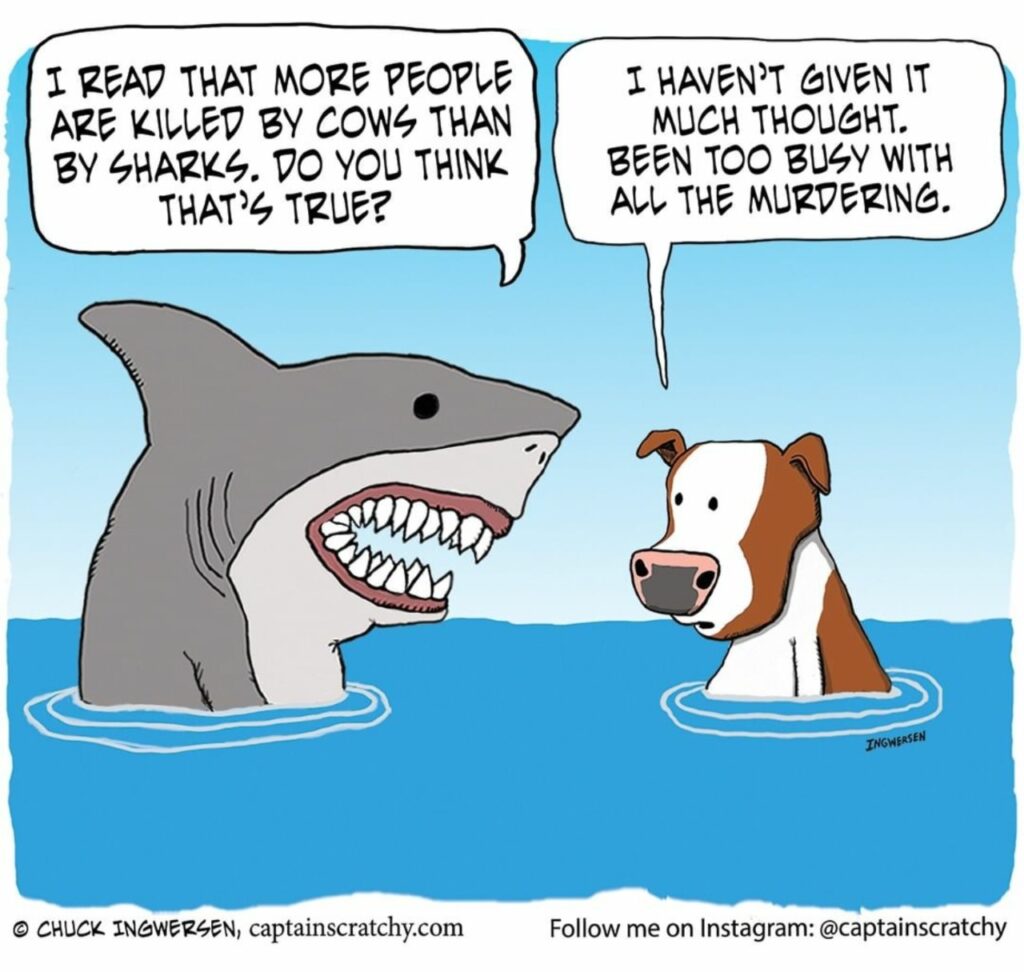 VIP-tickets – Viajarisma